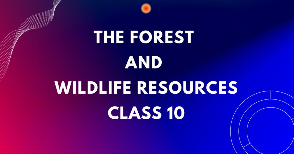 The Forest and Wildlife Resources Class 10 Geography MCQs