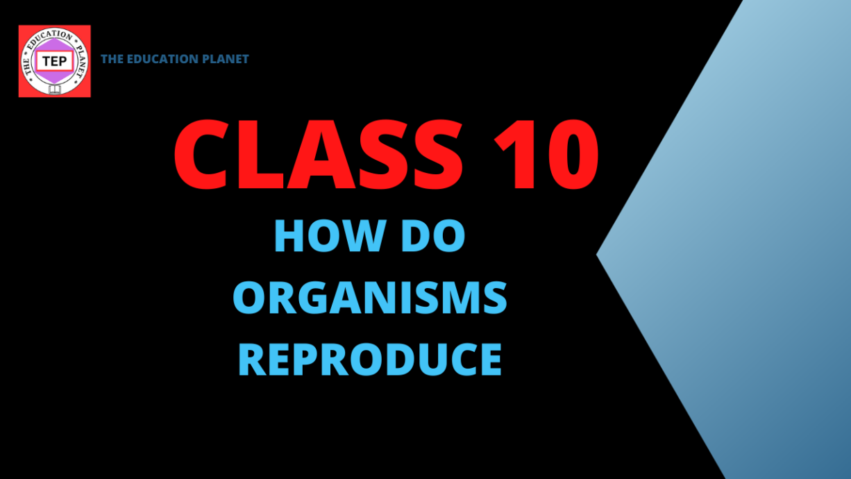 10th Science Chapter 7 How do Organisms Reproduce MCQ Quest
