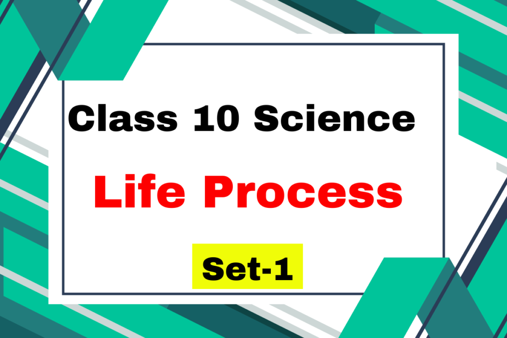 Class 10 Science Chapter 5 Life process MCQs Set-1 - THE EDUCATION PLANET