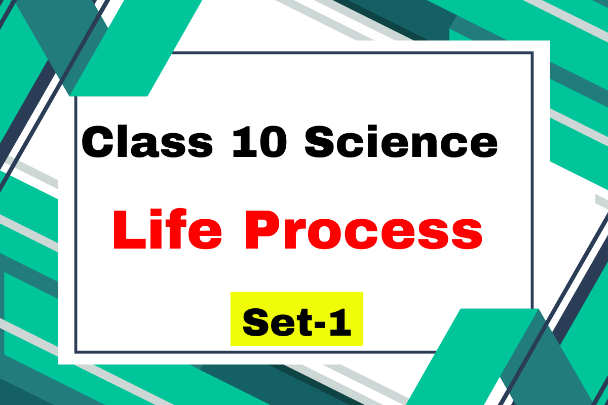 Class 10 Science Chapter 5 Life Process MCQs Set 1 THE EDUCATION PLANET