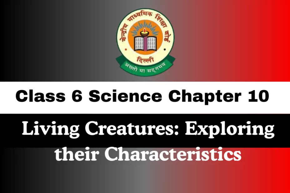 MCQ Class 6 Science Ch10 Living Creatures: Exploring their ...